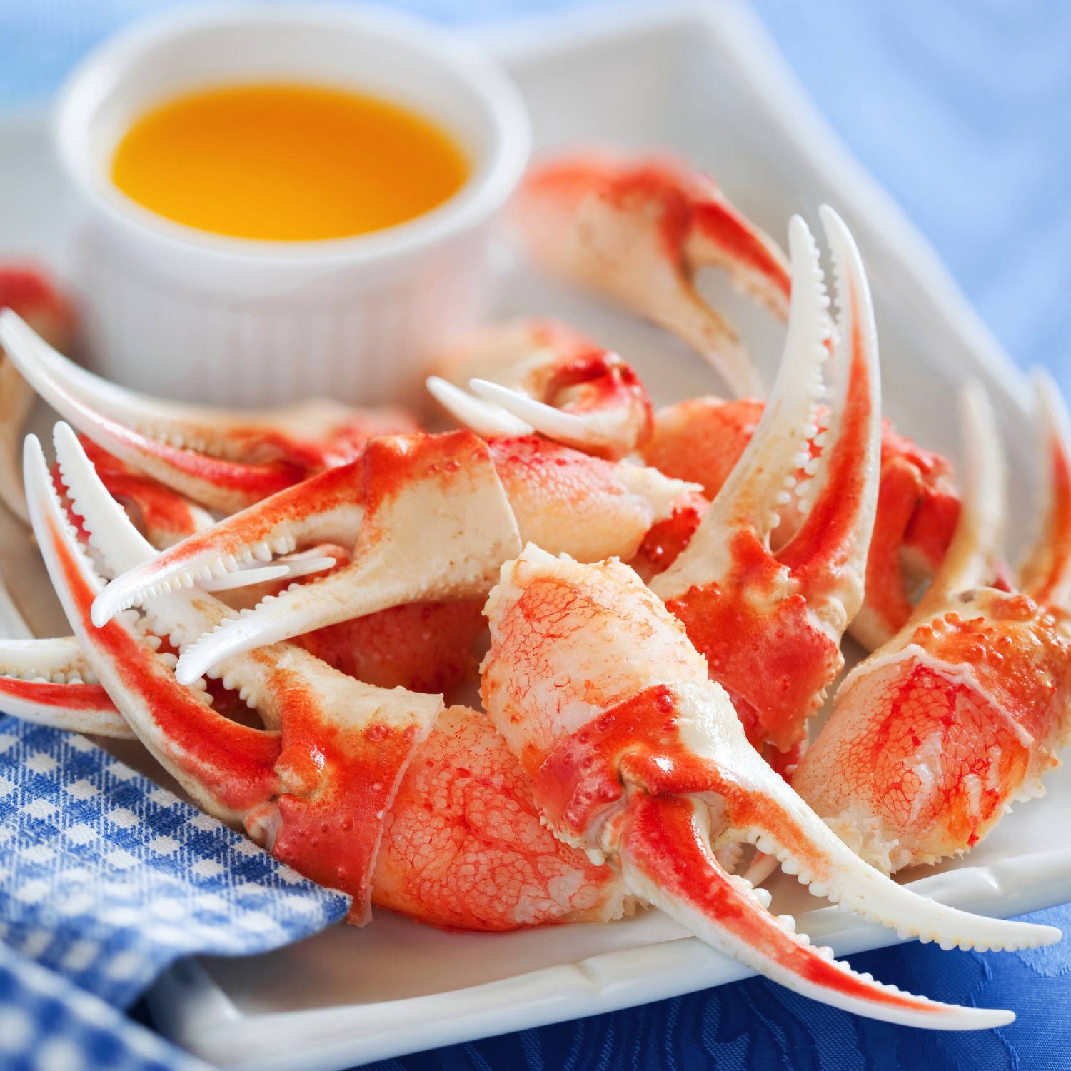Crab-large - Scottish Shellfish