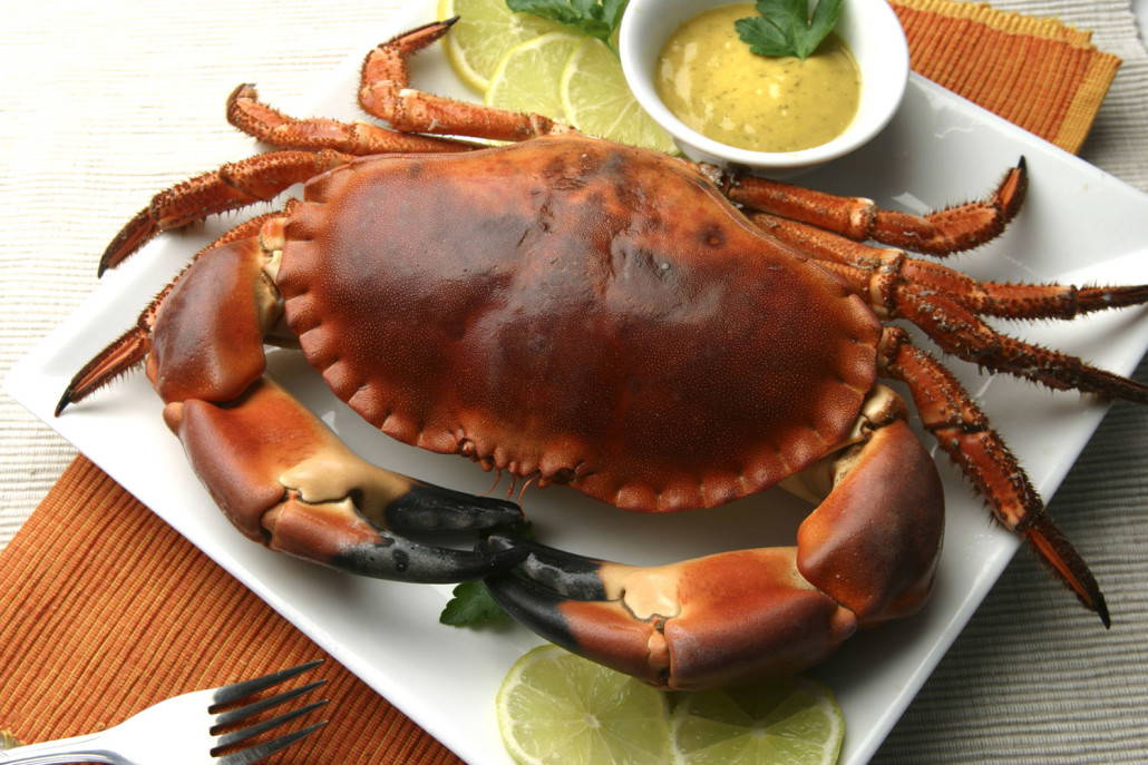 produce - Scottish Shellfish