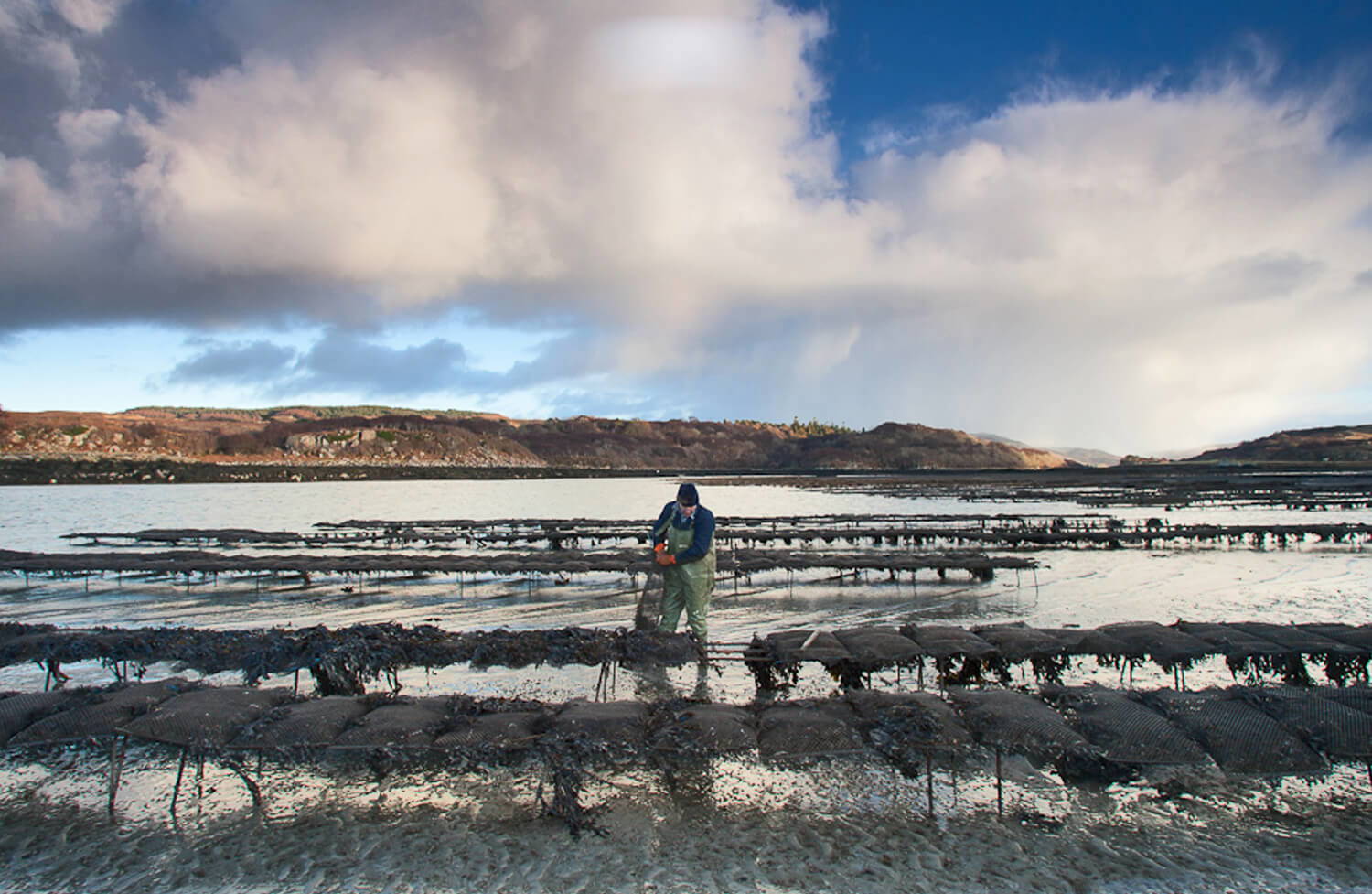 Shellfish farming - A proud tradition - Scottish Shellfish