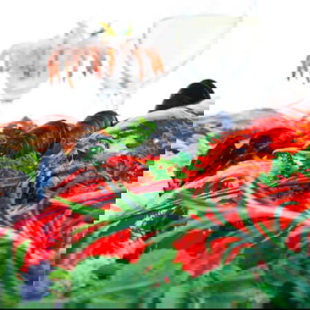 Smoky Grilled Oysters - Scottish Shellfish