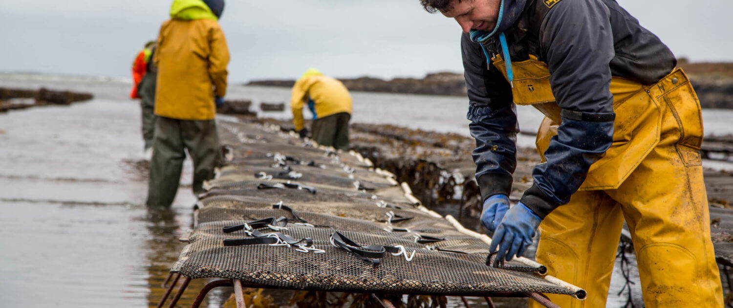 Meet the Farmer - Scottish Shellfish